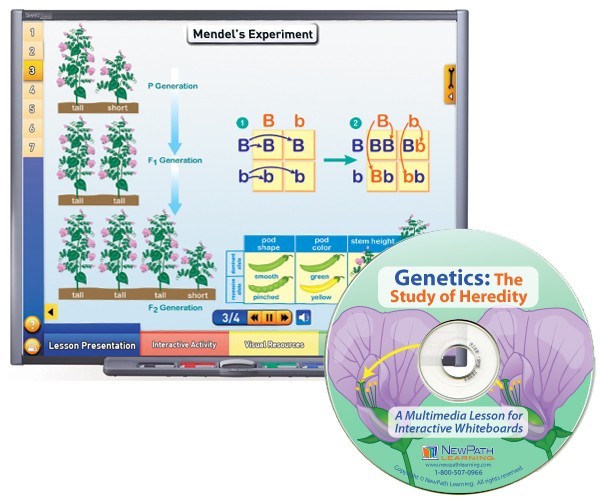 W54-6208 Genetics: The Study of Heredity Multimedia Lesson