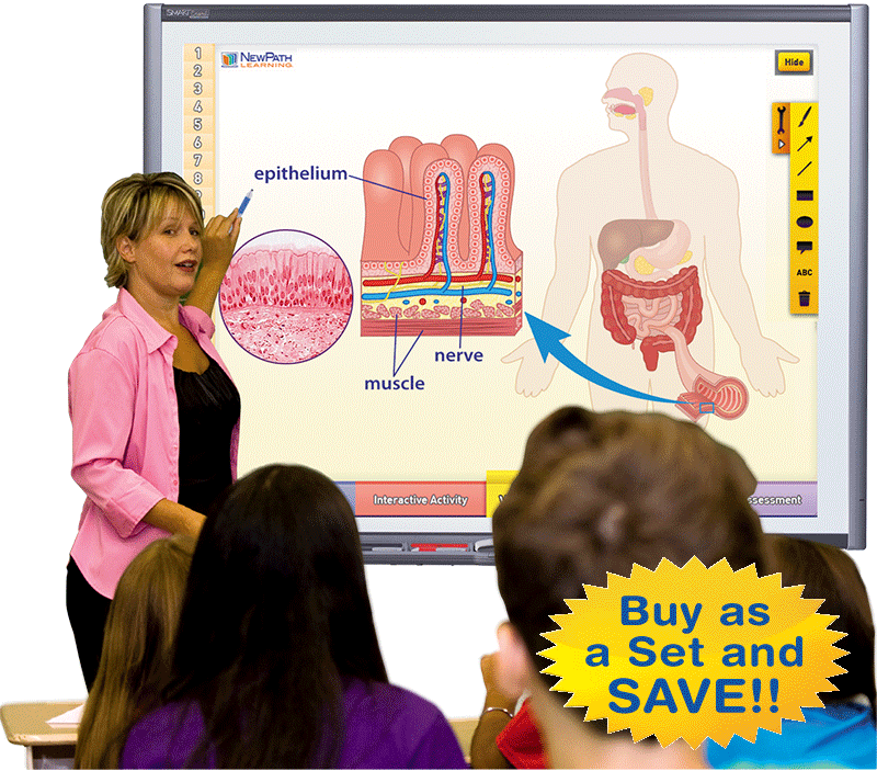 W546220 Complete Systems of the Human Body Multimedia Set of 3 Lessons