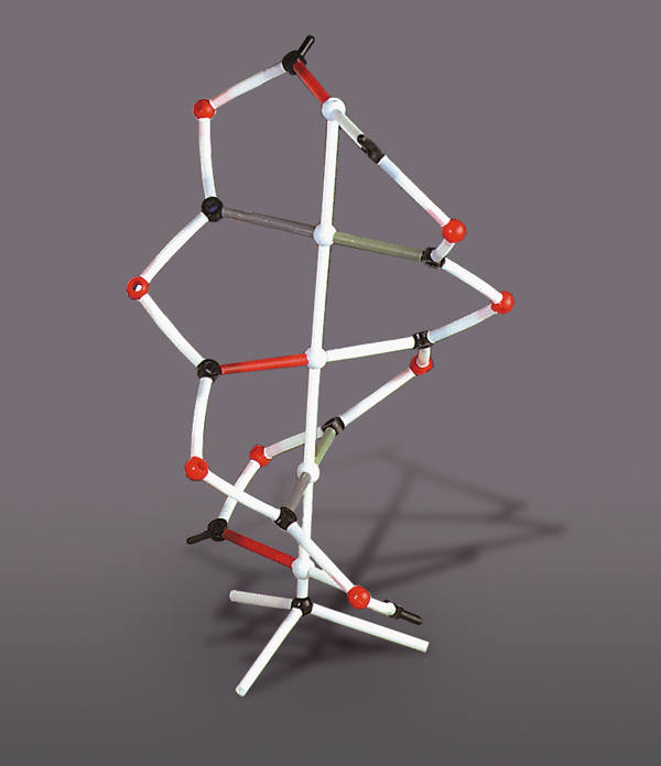 Ns20 2193 Modeling Dna Structure And The Process Of Replication