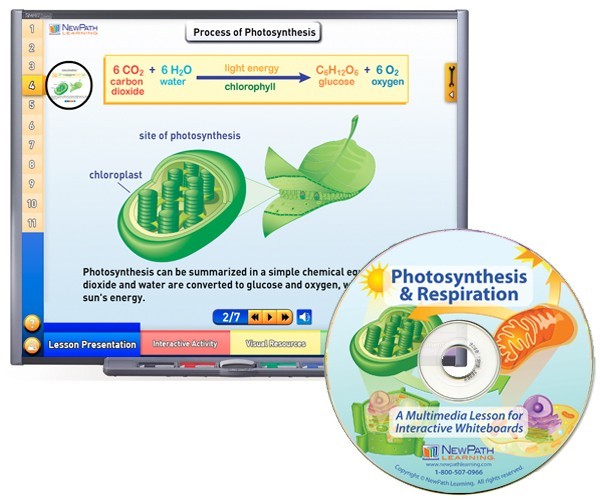 W54-6206 Photosynthesis & Respiration Multimedia Lesson
