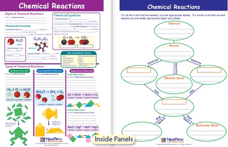 W94-4819 Chemical Reactions Visual Learning Guide