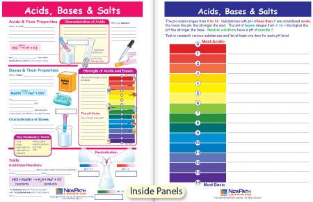 W94-4715 Acids, Bases & Salts Visual Learning Guide