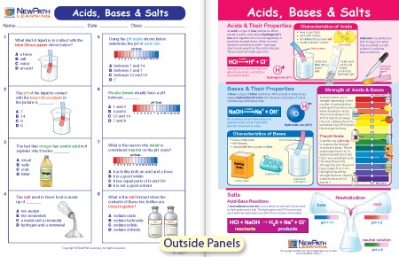 W94-4715 Acids, Bases & Salts Visual Learning Guide