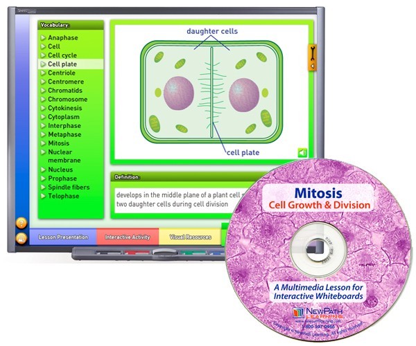 W54-6202 Mitosis: Cell Growth & Division Multimedia Lesson