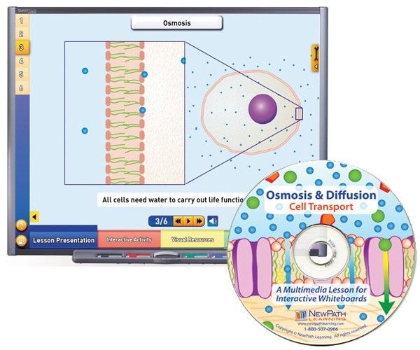 W54-6203 Osmosis & Diffusion: Cell Transport Multimedia Lesson