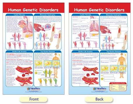Human Genetics Disorders