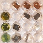 IS8002 Activity Series