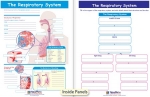 W94-4916 The Respiratory System Visual Learning Guide