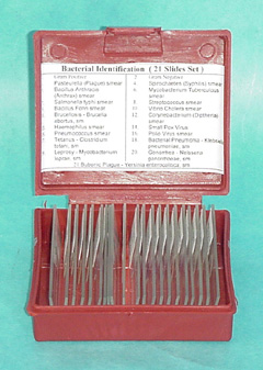 Laboratory Biology: Killer Bacteria Slide Set of 21